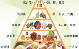 营养金字塔怎么吃_一日三餐怎么搭配