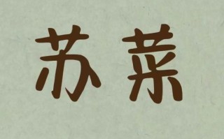 苏菜有哪些经典名菜_苏菜和浙菜区别在哪