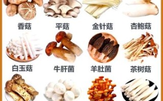 冬菇是什么样子_冬菇和香菇的区别