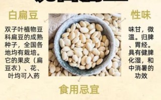 白扁豆的营养价值_白扁豆的功效与作用 白扁豆的营养价值_白扁豆的功效与作用