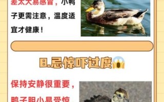 鸭肉吃多了的危害_鸭肉吃多了会上火吗