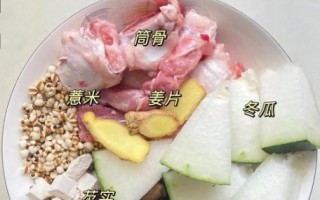 冬瓜薏米祛湿汤怎么做_湿气重喝多久见效