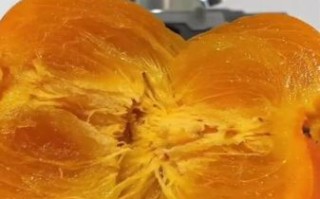 吃柿子会长结石吗_柿子结石是真的吗