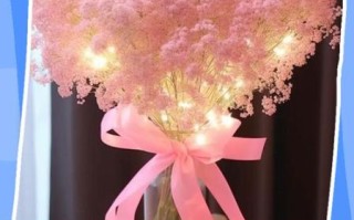 粉色满天星花语是什么_适合送哪些人