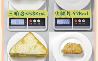 油炸大排热量是多少_减肥能吃吗