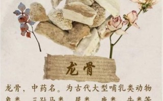 龙骨汤的龙骨是什么东西_龙骨汤用什么龙骨