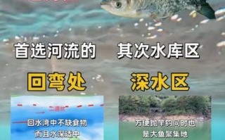 钓鱼图片大全超清_如何挑选高清图