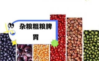 粗粮杂粮有哪些_粗粮杂粮有哪些区别