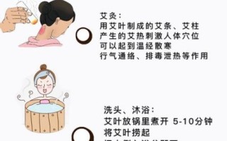 艾草的功效和作用_艾叶可食用吗