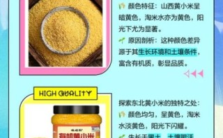 黄米和小米的区别_哪个更营养