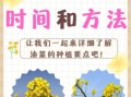 油菜籽什么时候播种_最佳播种时间