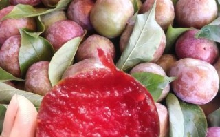 三华李热量高吗_减肥能吃吗