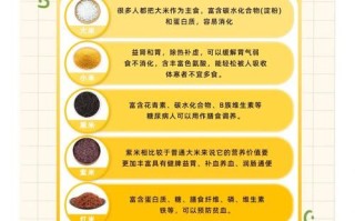 五谷杂粮养生粥的功效与作用_适合什么人吃