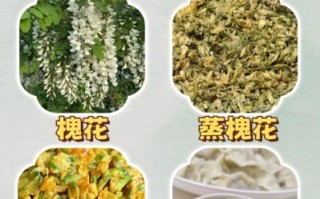 干槐花怎么做好吃_干槐花吃法大全