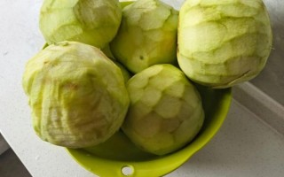 茄子素馅饺子怎么调馅_茄子素馅饺子馅的做法