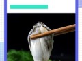 生蚝怎么清理_生蚝清洗的正确方法