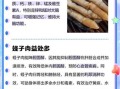 蛏王肉的营养价值_蛏王肉的功效与作用