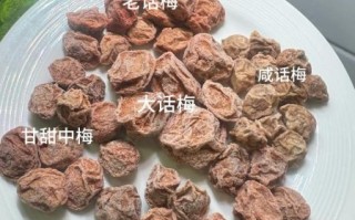 话梅能解肝毒吗_三天见效真假