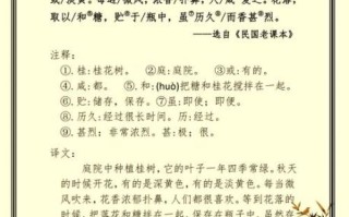 桂花蜜居无竹阅读_无竹阅读如何提升写作