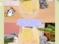 莫吉托是什么_莫吉托怎么做