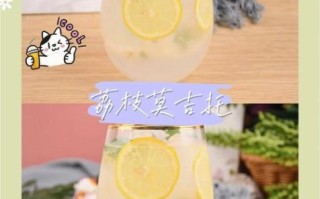 莫吉托是什么_莫吉托怎么做