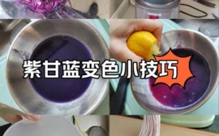 紫甘蓝变色实验原理_紫甘蓝指示剂怎么做