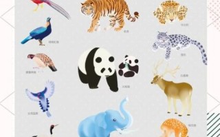 动物种类有哪些_100种常见动物分类大全