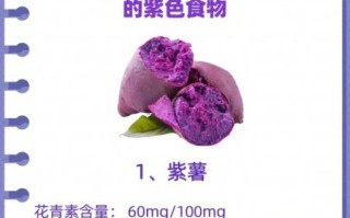 紫署的功效与作用_紫署适合什么人吃