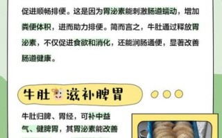 牛肚的营养价值及功效_牛肚适合什么人吃