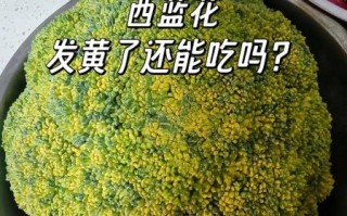 西兰花发黄能吃吗_西兰花变黄了还能吃吗