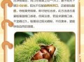 板栗怎么剥最方便_生板栗快速去皮方法