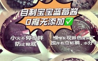 蓝莓酱的做法大全窍门_蓝莓酱怎么熬才浓稠