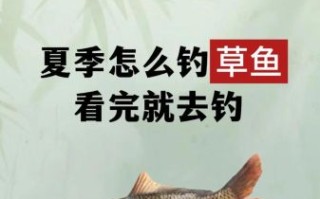 草鱼怎么钓用什么饵_草鱼饵料配方大全