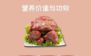驴肉的营养价值及功效与作用禁忌_什么人不能吃驴肉