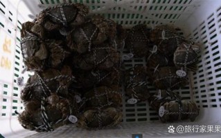大闸蟹什么时候上市_大闸蟹上市季节