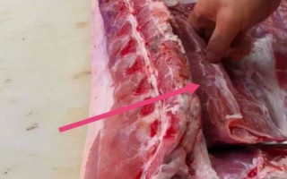 里脊肉是什么肉_里脊肉是猪的哪个部位