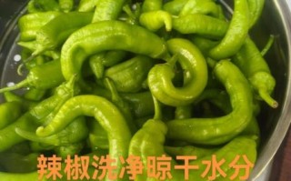 酱腌辣椒怎么做_腌辣椒怎么保存不烂