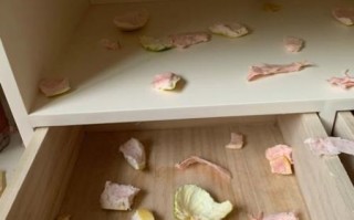 柚子皮可以去除甲醛吗_柚子皮除甲醛是真的吗