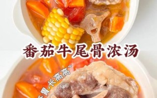 牛尾骨怎么炖好吃_家常牛尾骨汤的做法