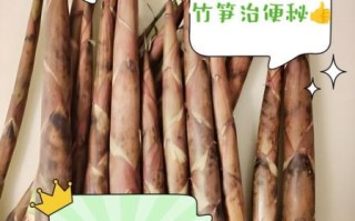 春笋的营养价值_春笋怎么吃最健康