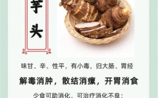 香芋的功效与作用_香芋怎么吃最养生