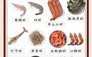 海虾吃什么食物_海虾吃什么长得快