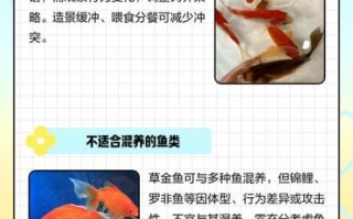 小草鱼怎么养_小草鱼养殖注意事项