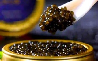 鱼子酱为什么那么贵_鱼子酱价格高的原因