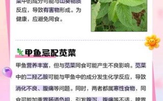 苋菜不能和什么一起吃_苋菜与什么相克