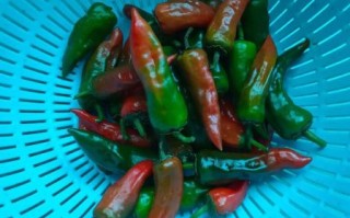 黄磊辣椒炒肉怎么做_辣椒炒肉先炒肉还是先炒辣椒