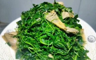 金花菜怎么做好吃_金花菜的做法大全