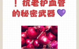 紫洋葱的功效与作用_紫洋葱怎么吃最营养