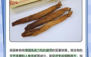 高丽参的功效与作用_适合哪些人群吃