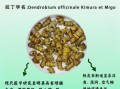 铁皮石斛的功效与作用及食用方法_怎么吃最有效